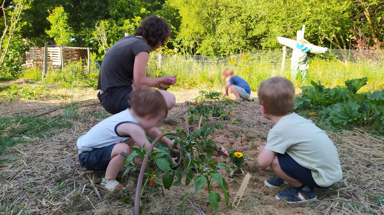 Plantes & co- Animation ateliers participatifs enfants et adultes